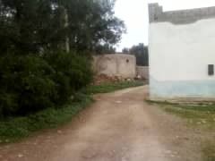 salut de azzaba sefrou maroc